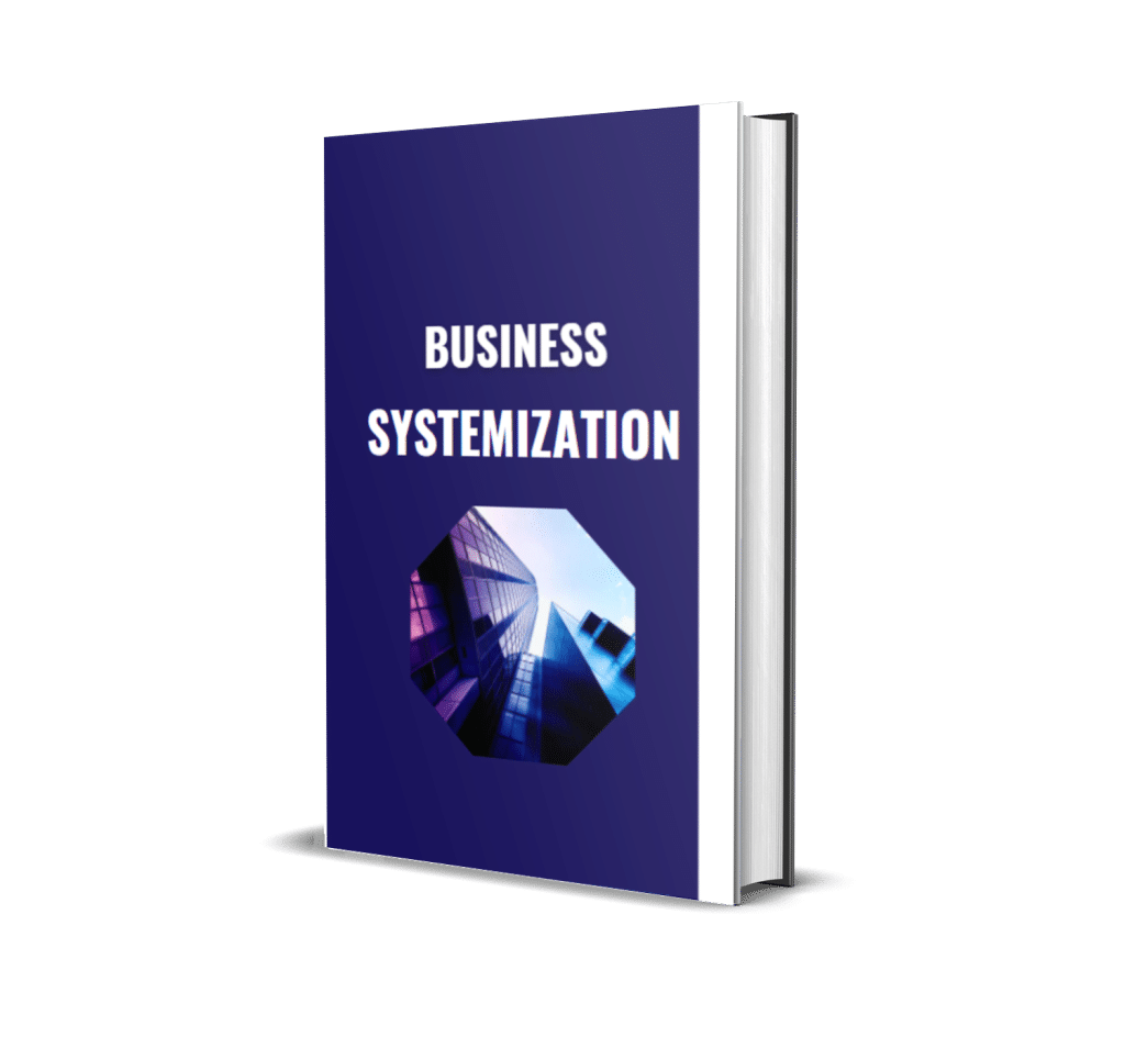 Business Systemization