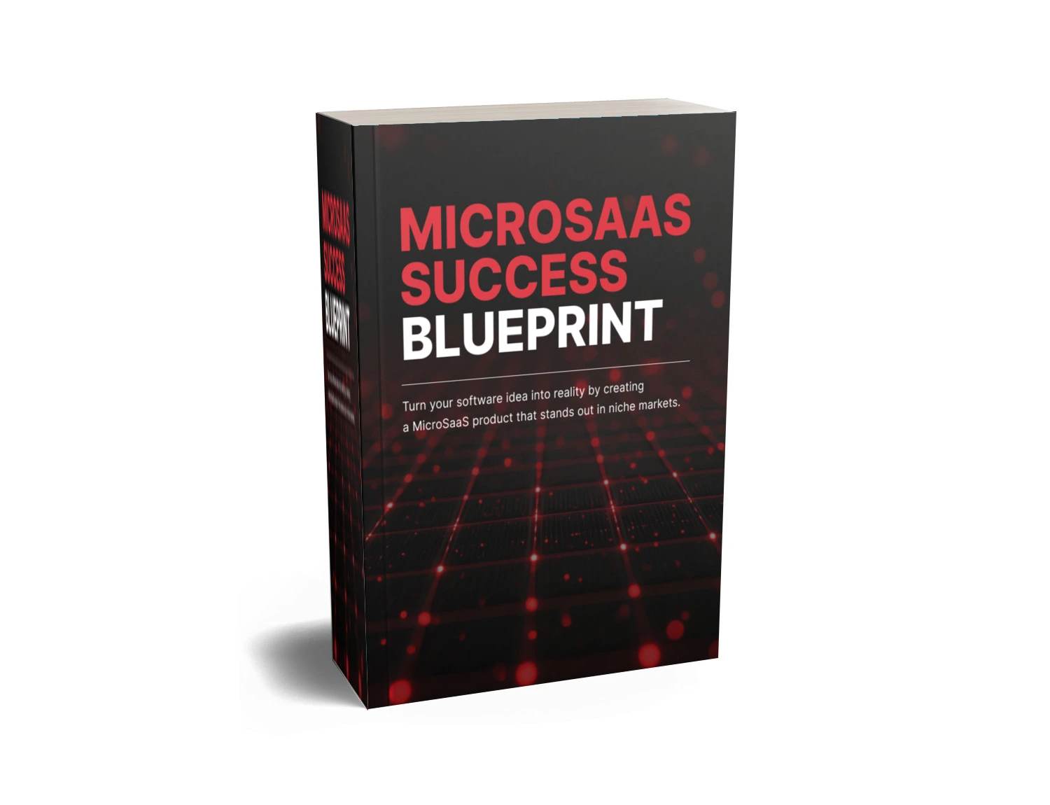 MicroSaaS Success Blueprint