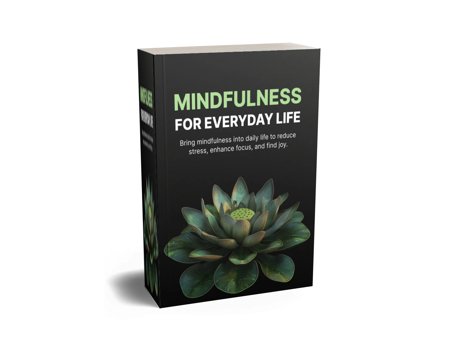 Mindfulness for Everyday Life